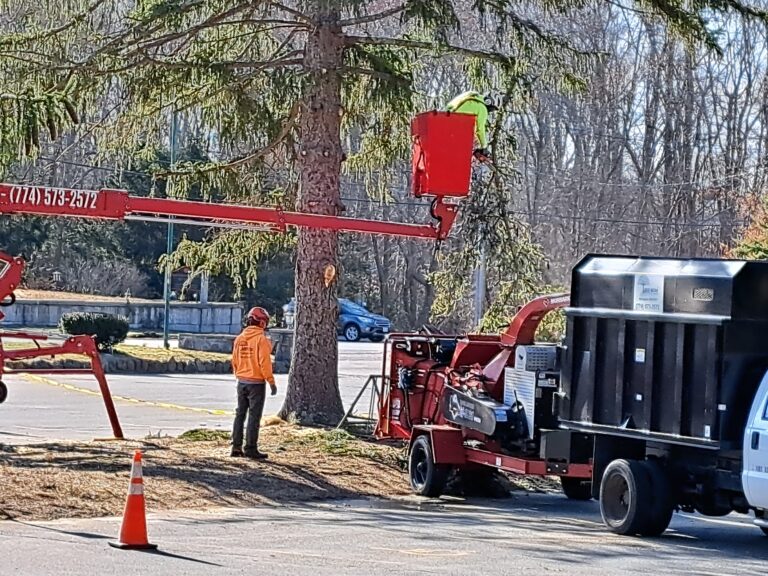 Our Lady of Fatima Shrine, Holliston, Massachusetts - Xaverian ...
